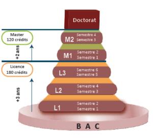 Système LMD - Faculté De Droit Et Des Sciences Politiques
