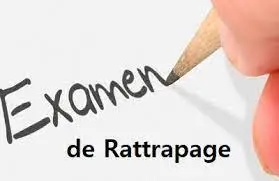 Examen de rattrapage: STRUCTURE ET ORGANISATION DES ENTREPRISES ...